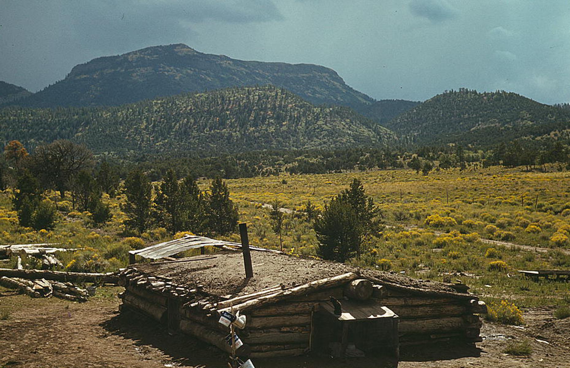 Vintage images reveal what home-life REALLY used to look like