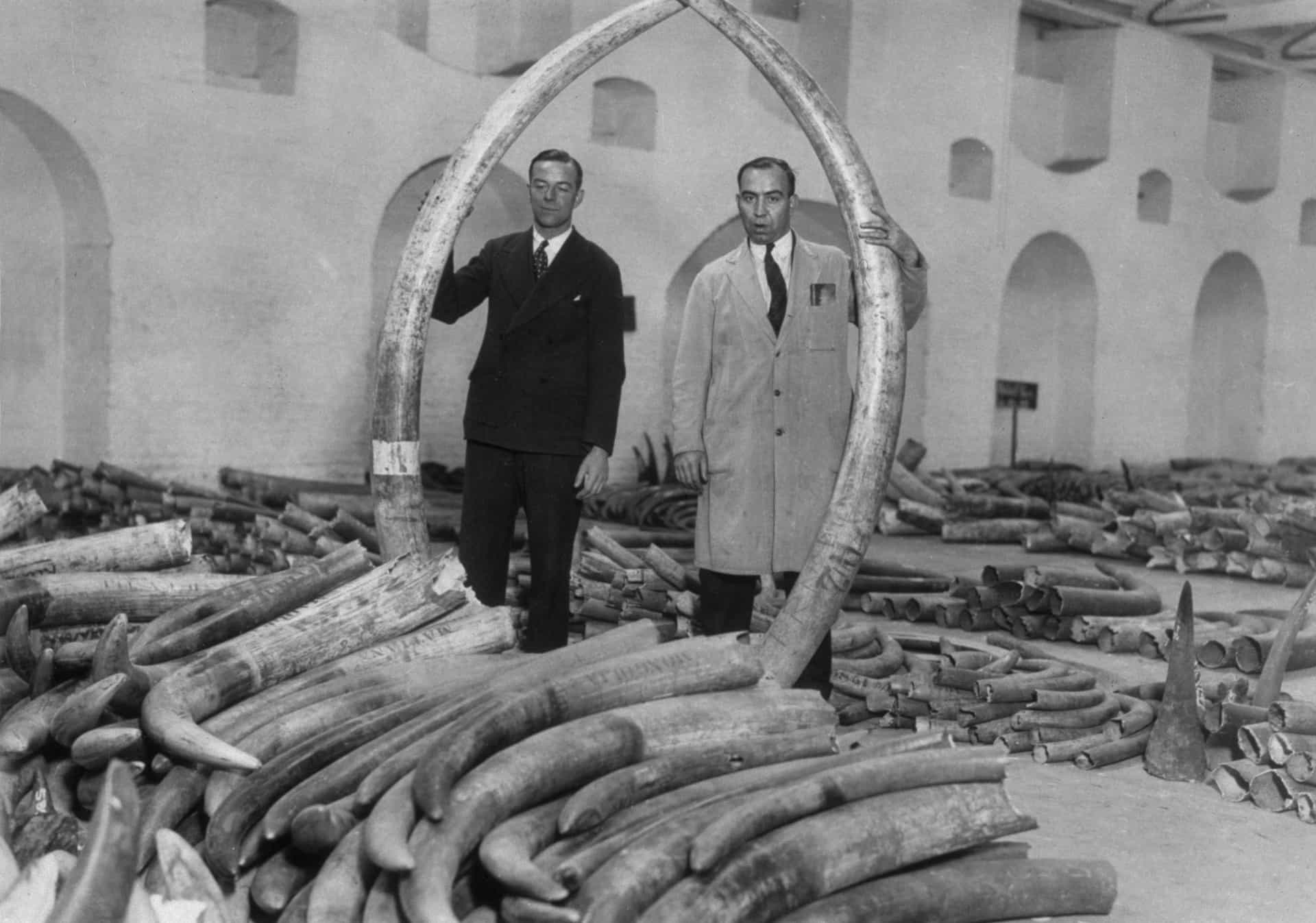 Time machine to the '80s: the decade's iconic events