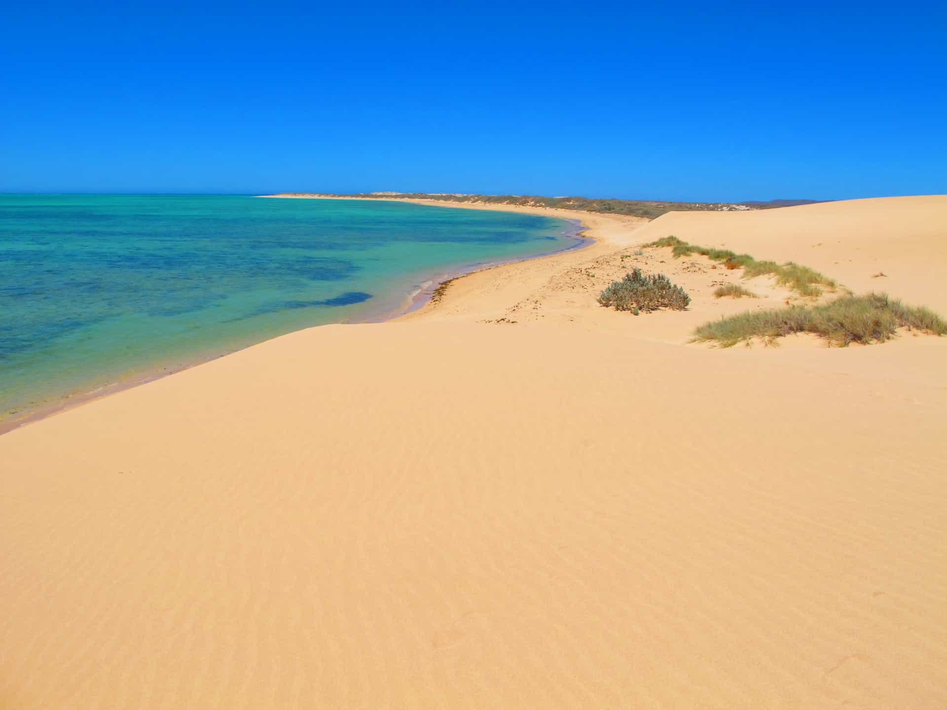 The world's most colorful coral reefs
