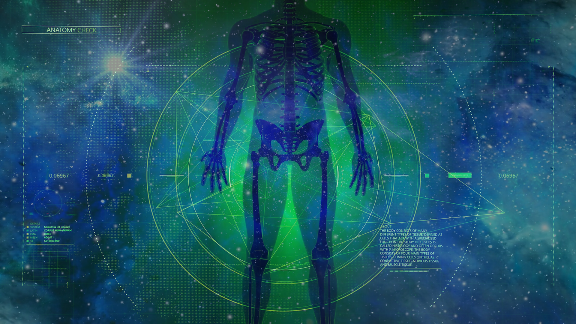 Humans are made of the same material as stardust