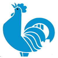 Thomas Gase Guide: So much football, so little time