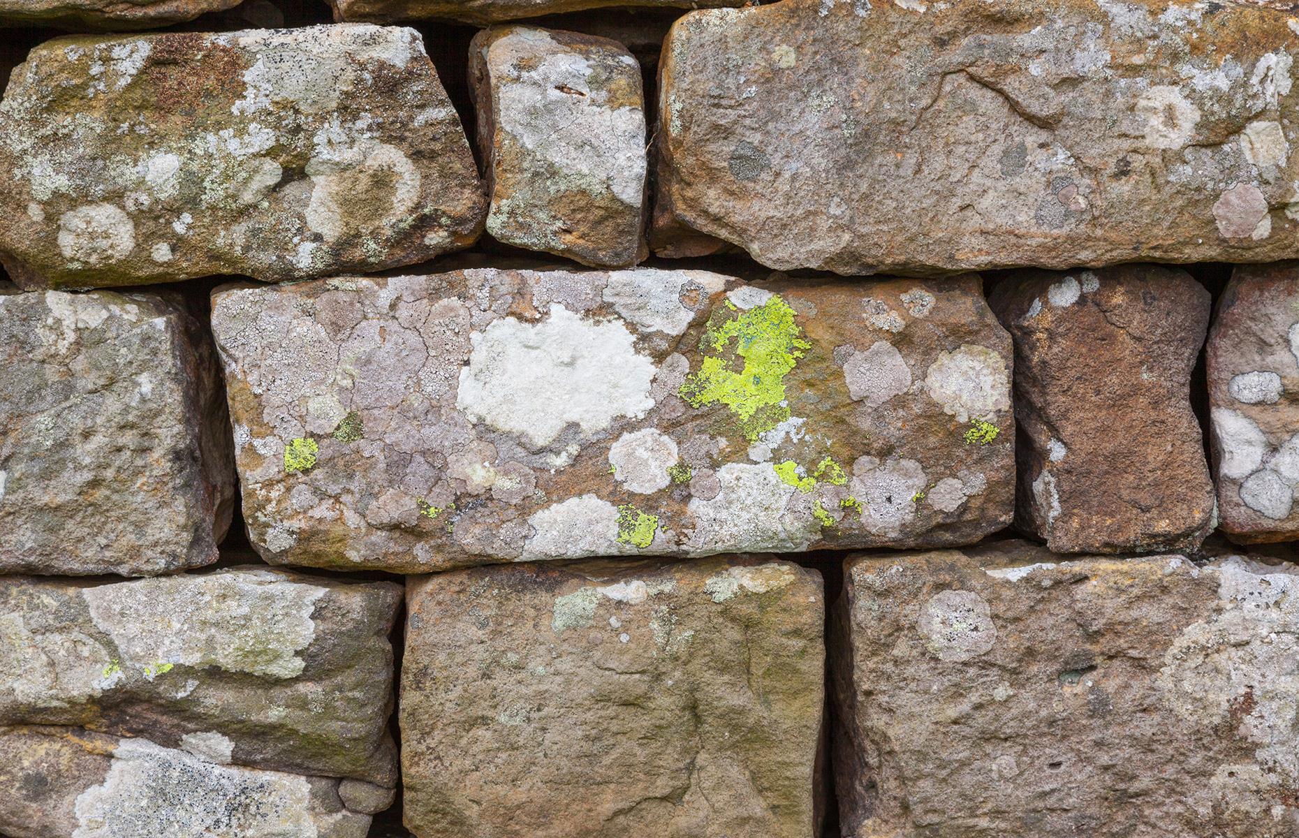 How many of these iconic UK landmarks can you name from a close-up?