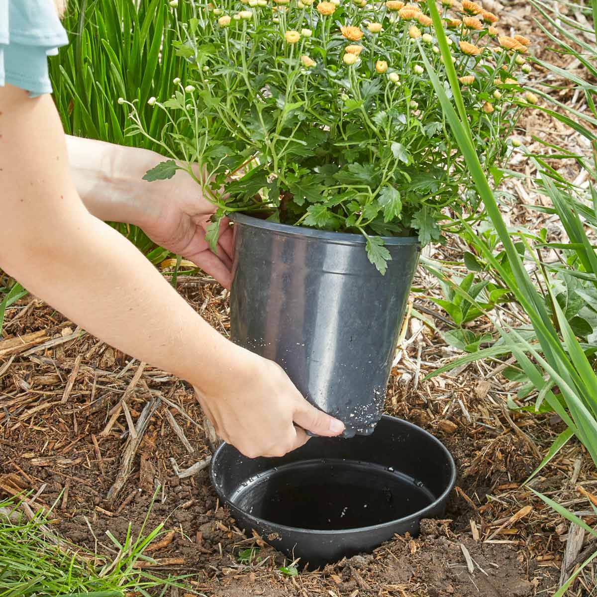 This clever landscaping trick will transform your yard