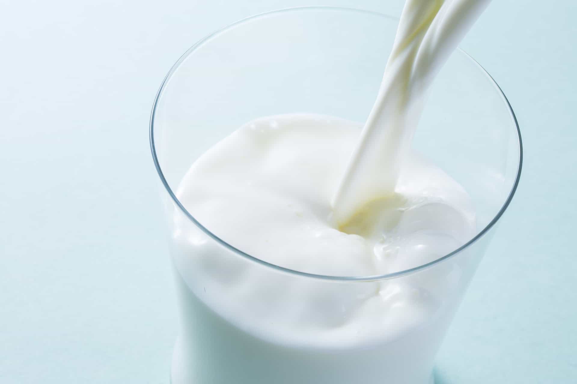 Tout savoir sur le lait