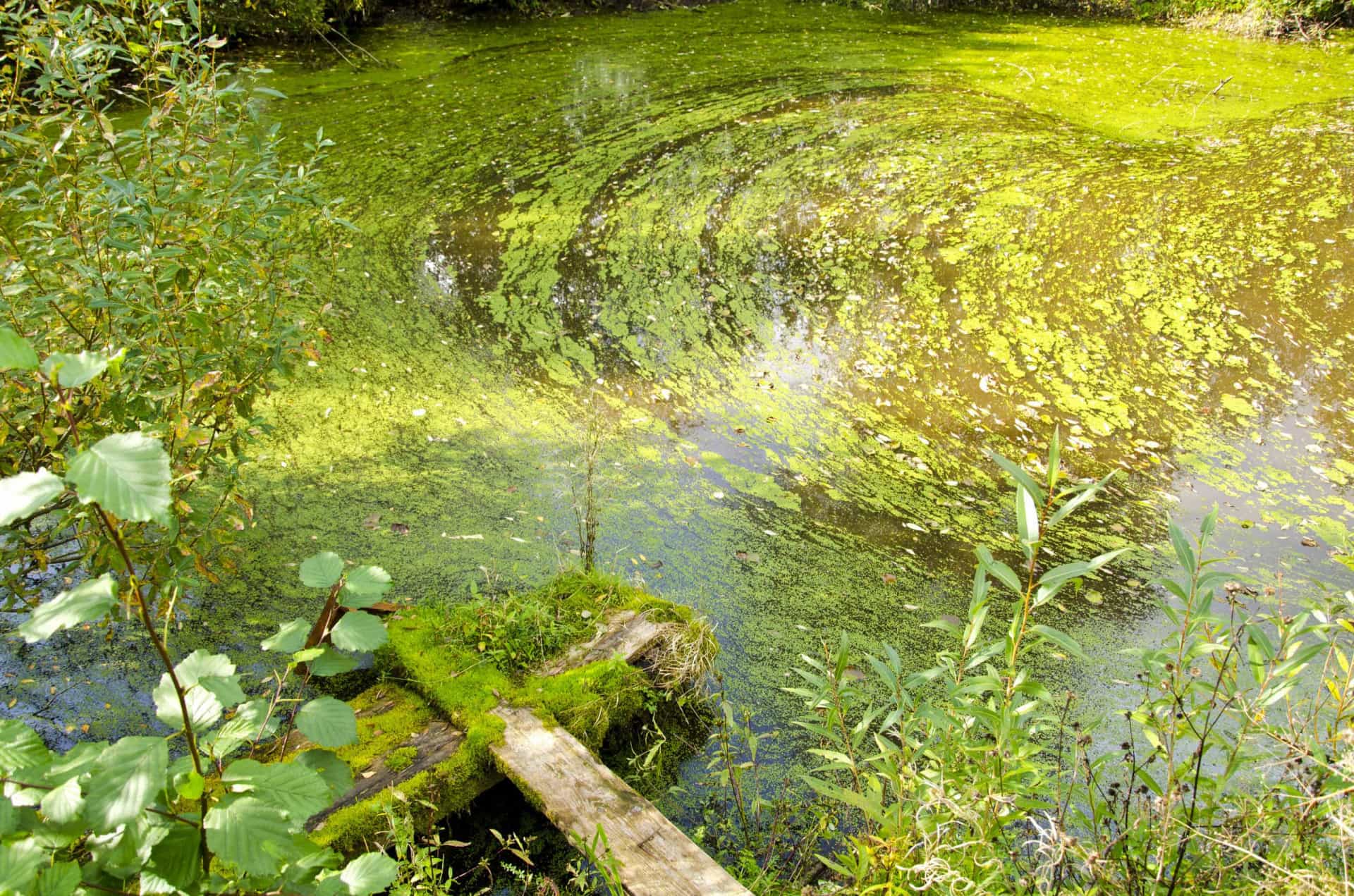 Nature's warning signs before disaster strikes
