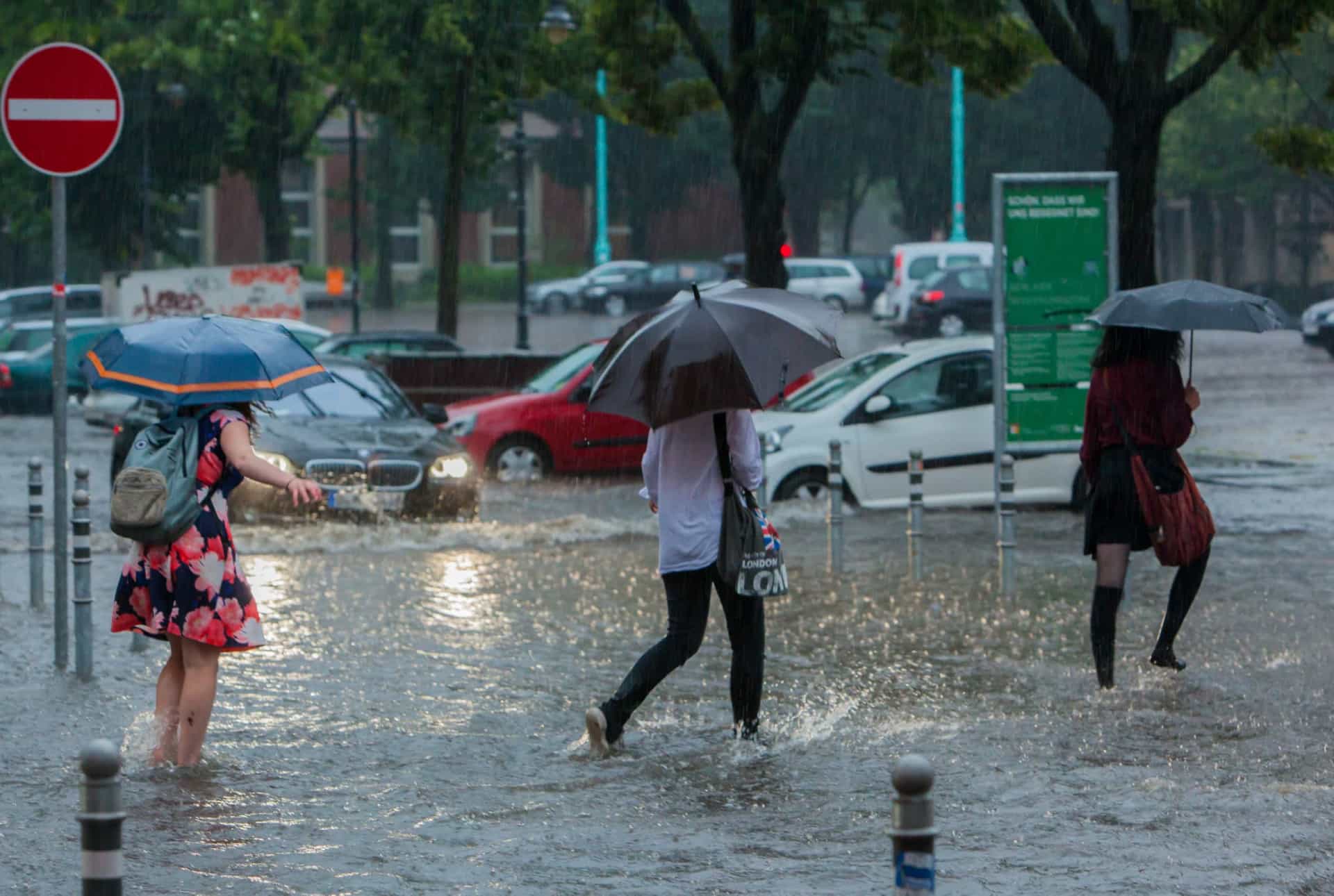 Nature's warning signs before disaster strikes