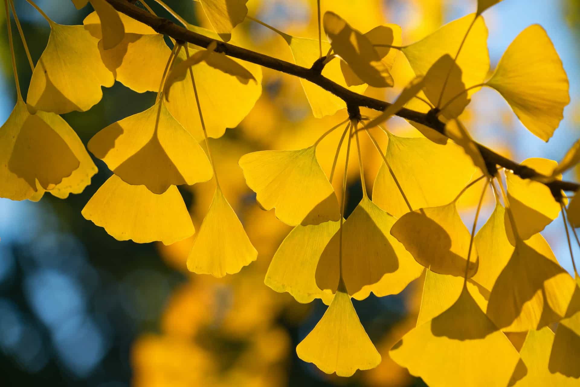 Nature's warning signs before disaster strikes