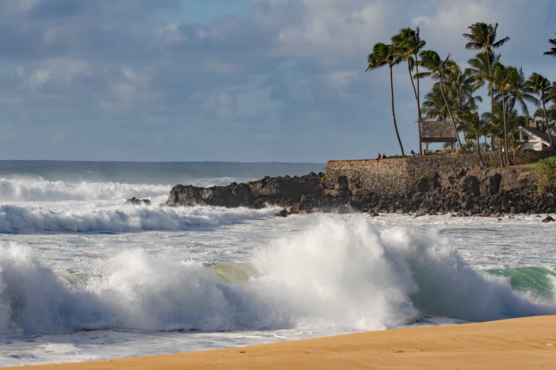 Nature's warning signs before disaster strikes