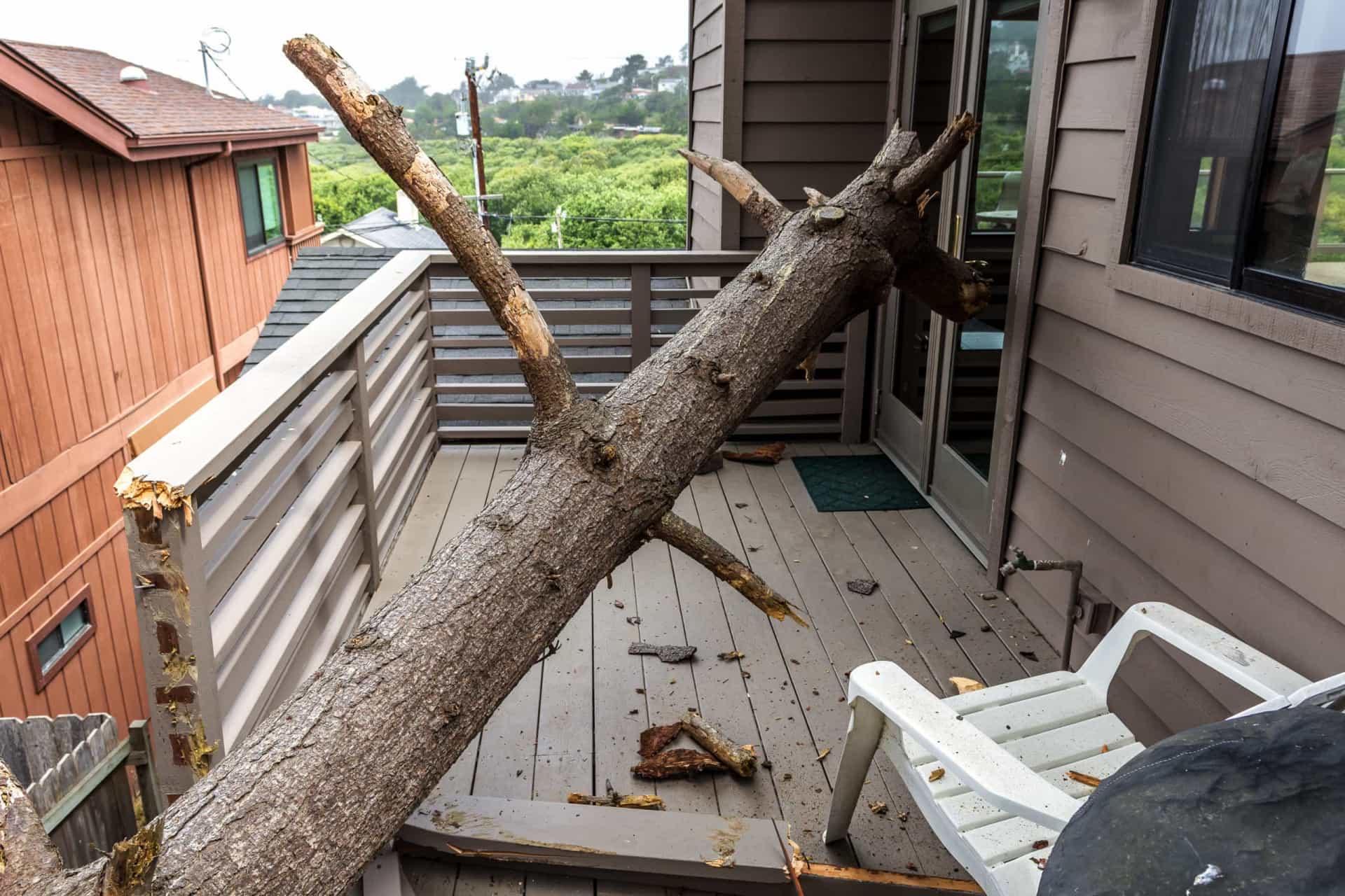 Nature's warning signs before disaster strikes