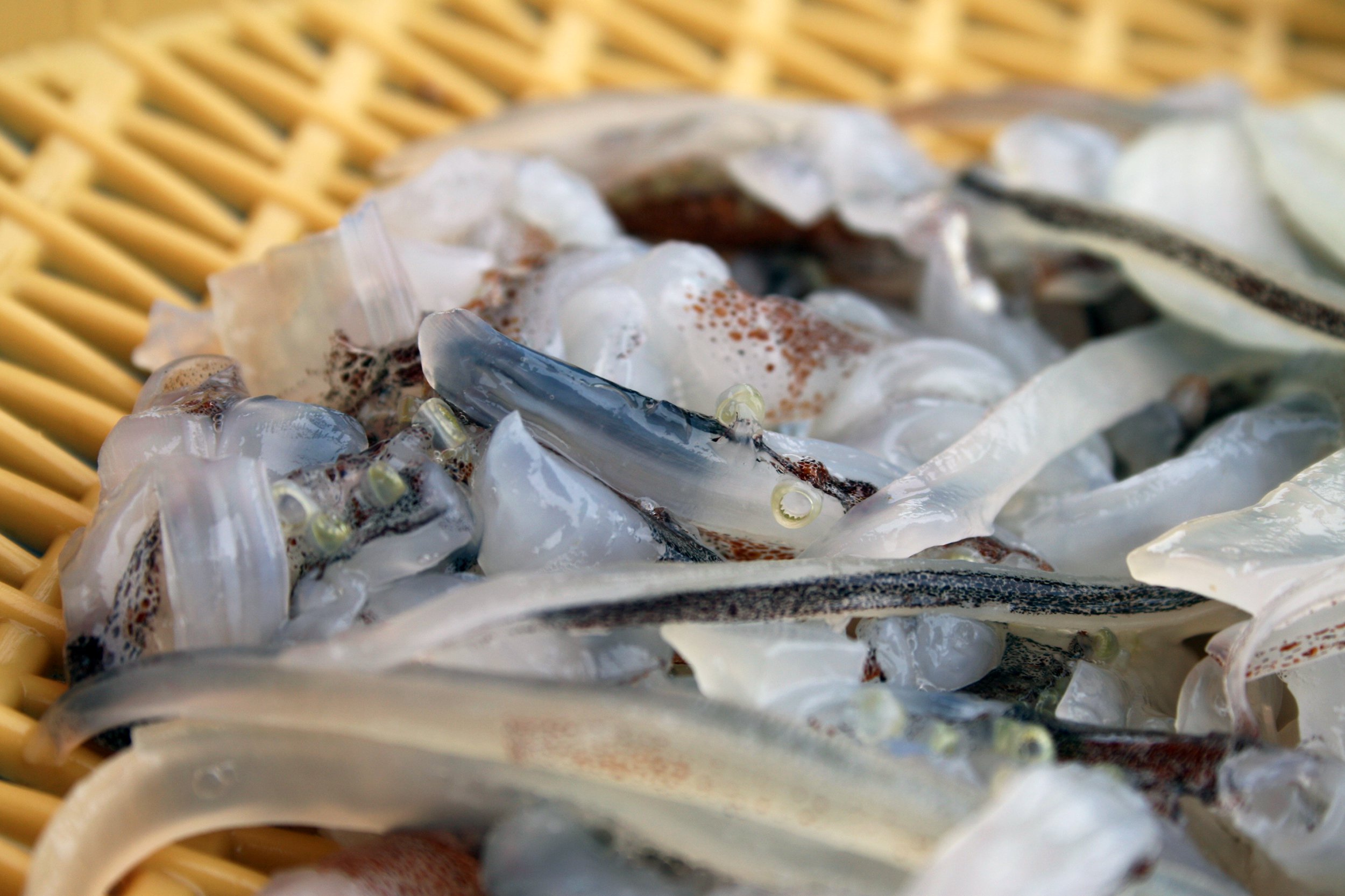 37 Foods That Are Dangerous if Not Prepared Properly