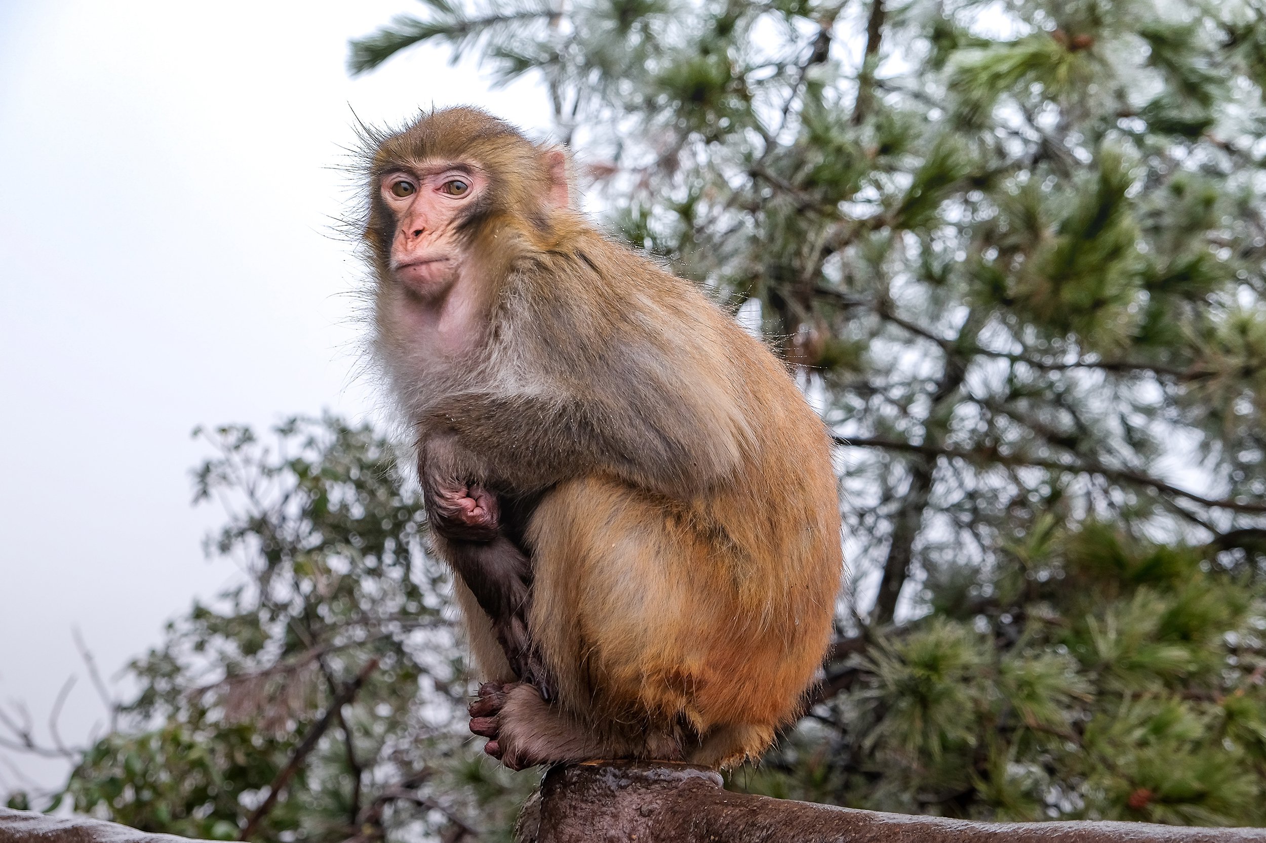 37 Foods That Are Dangerous if Not Prepared Properly