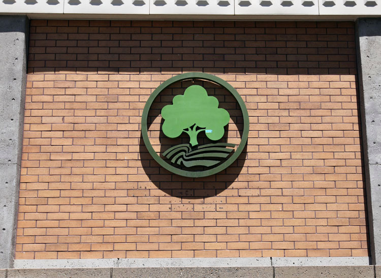 Chico council approves cash option for sewer payments