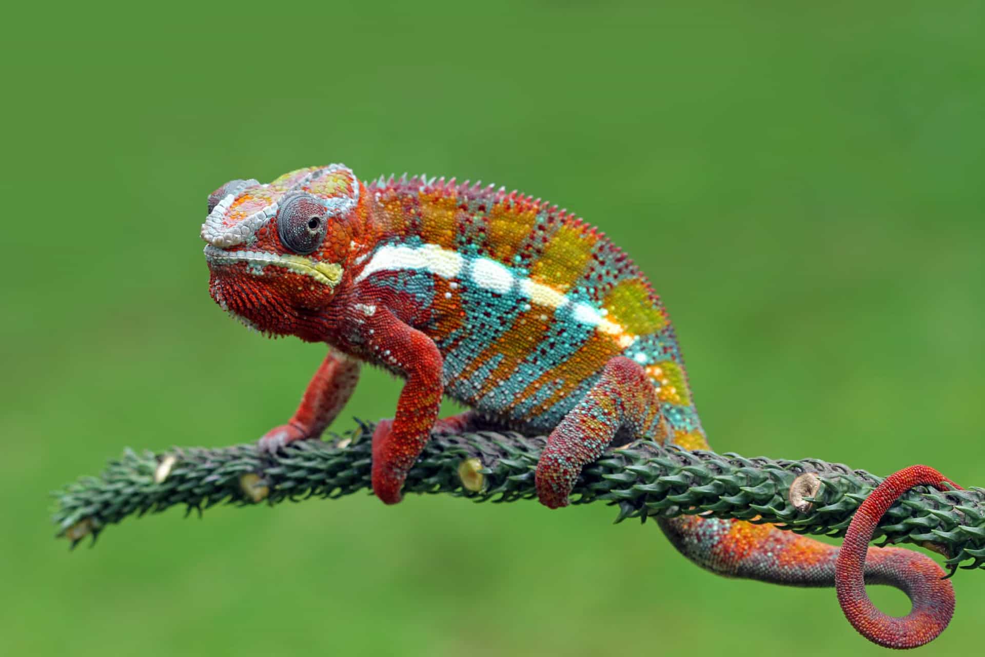 Predictions from 1900 that did (and didn't) come true