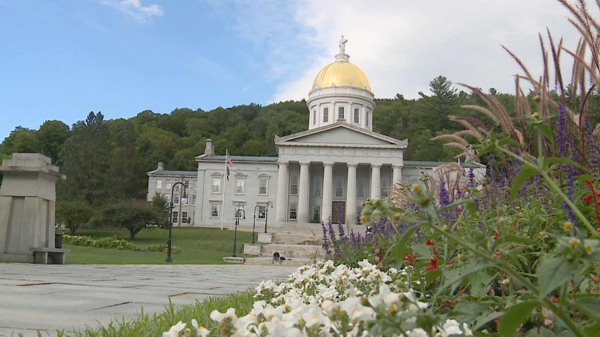What new laws are taking effect on July 1 in Vermont? We compiled a ...