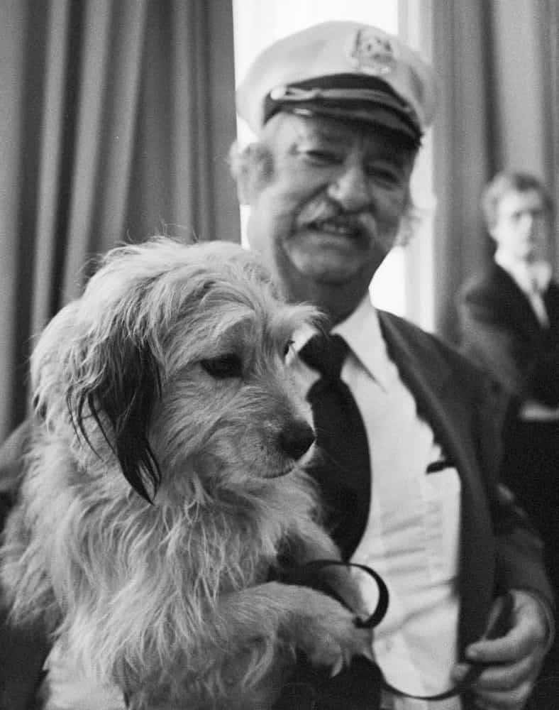 ¿Conoces a los perros más famosos de la historia?