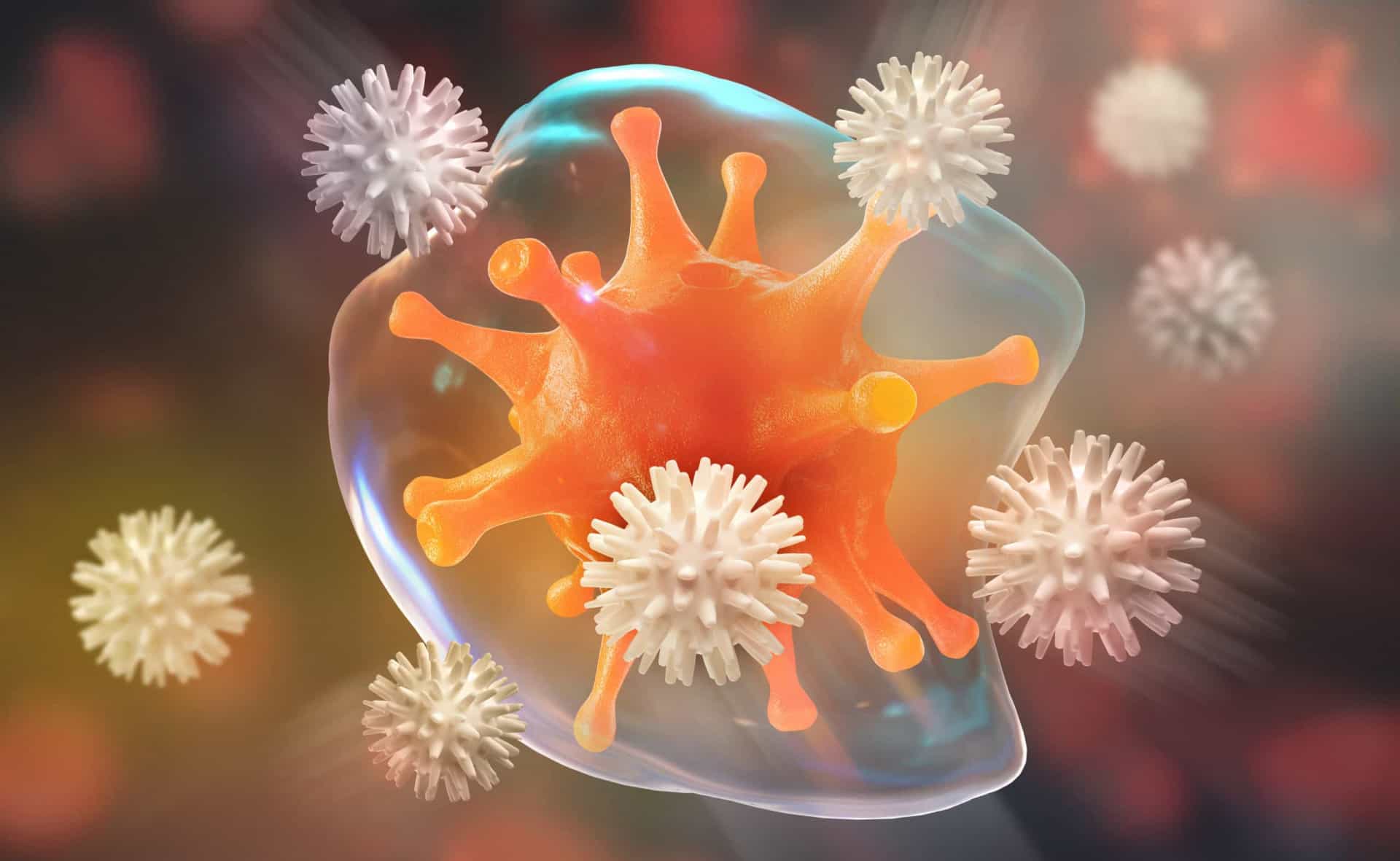 Supplements that help your immune system