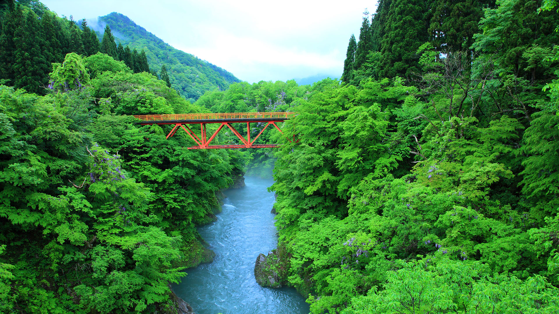 Beautiful landscapes