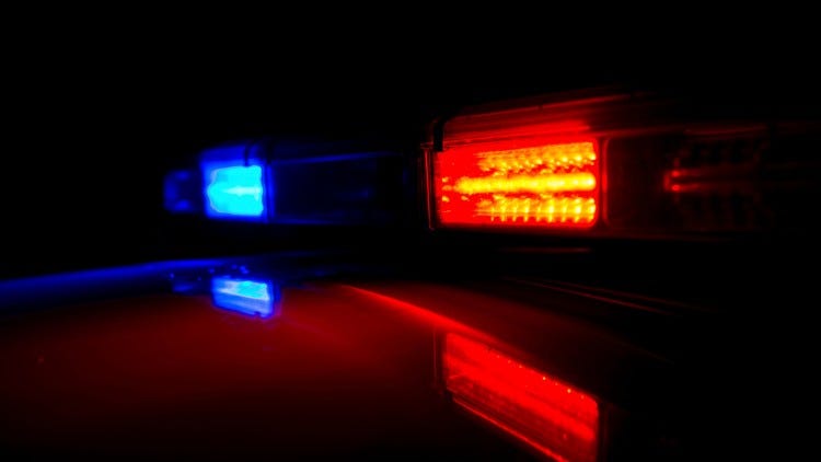 Second body found near old Fayette Road in Tuscaloosa County