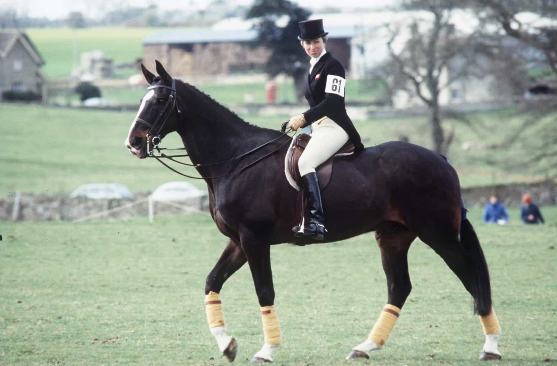 Princess Anne: the hardest working royal