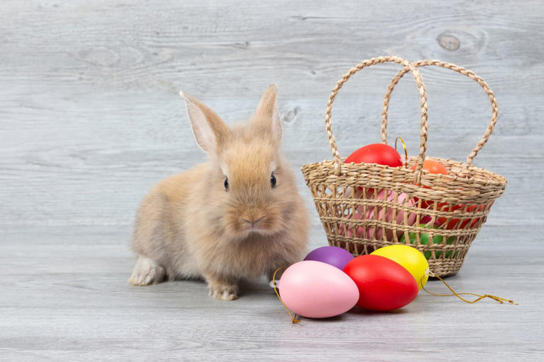 These Silly Easter Jokes Will Have Everyone Cracking Up With Laughter