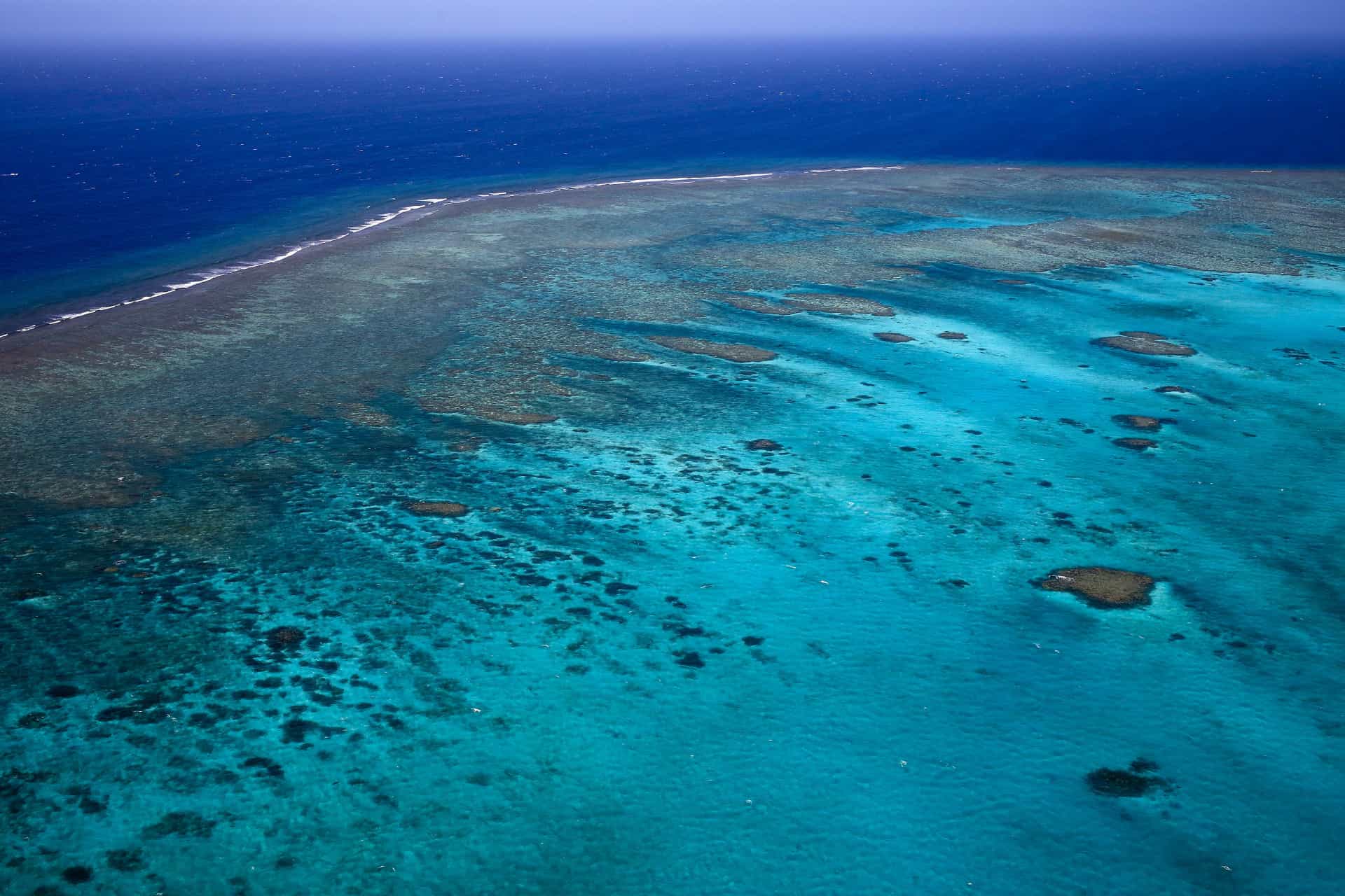 The world's most colorful coral reefs