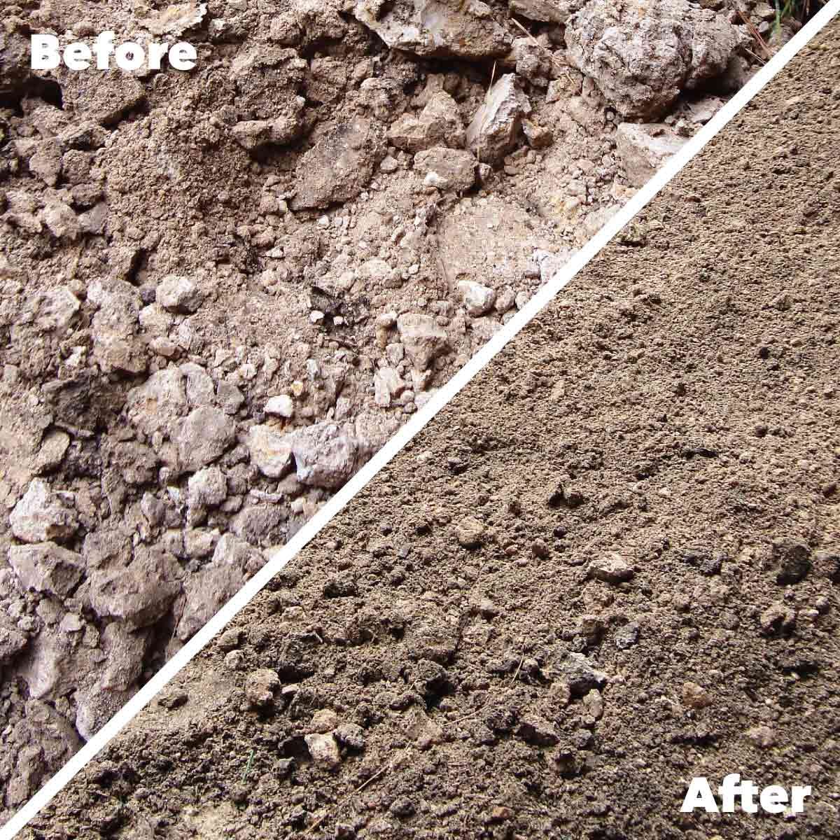 6 Common Lawn Problems and Expert Solutions