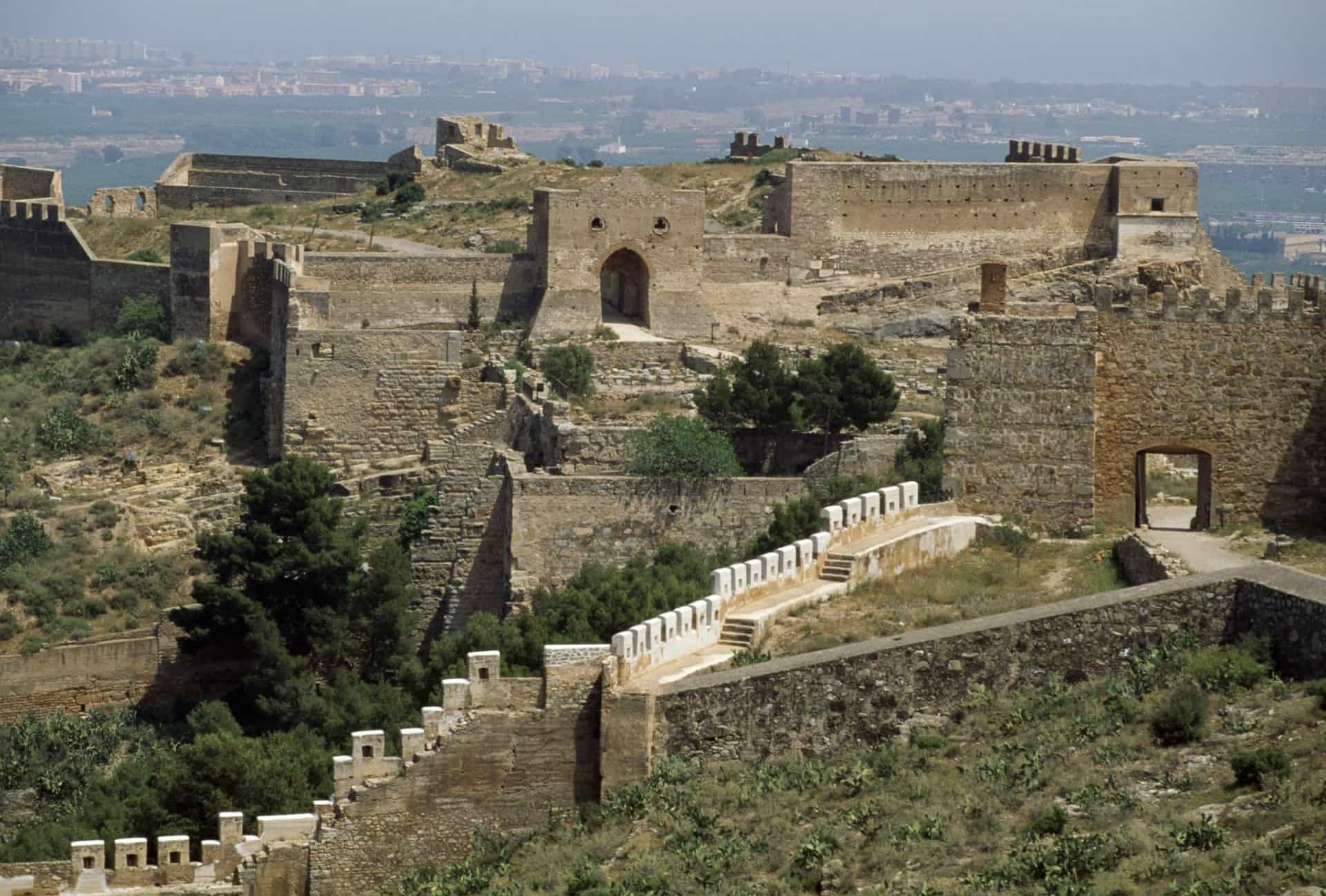 The elephant army of the ancient world