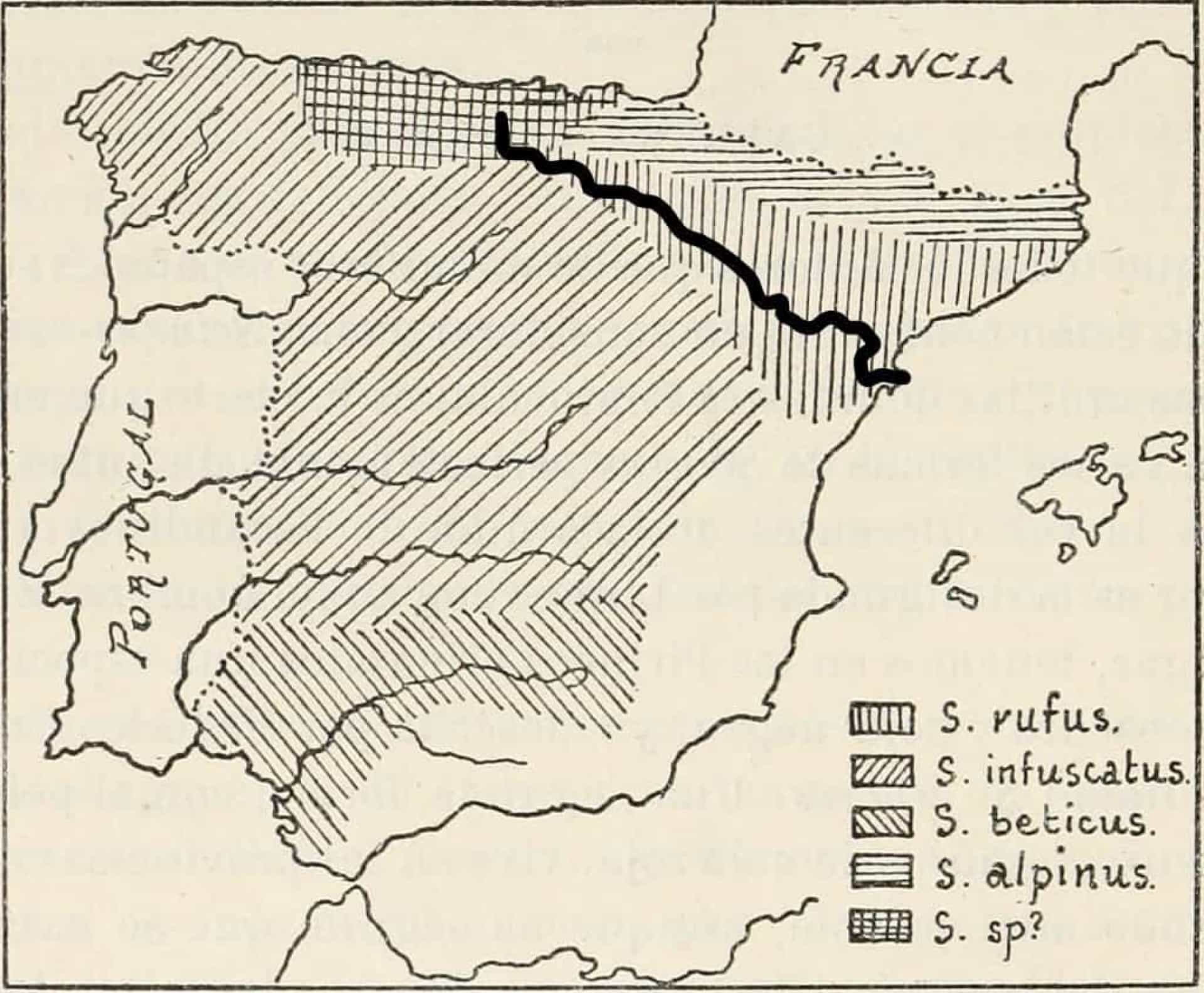 The elephant army of the ancient world