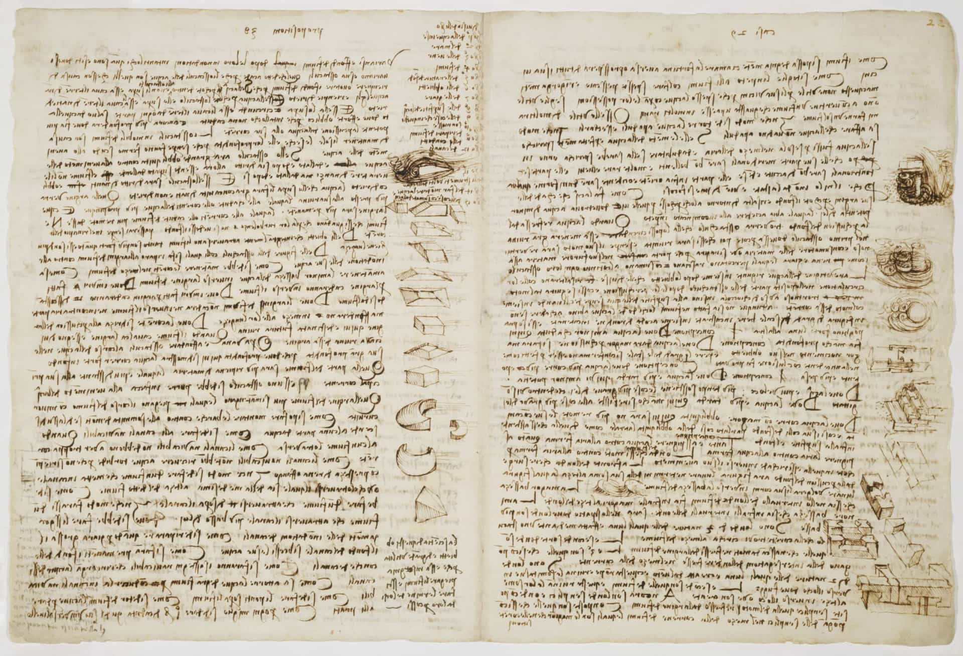 The life of Leonardo da Vinci