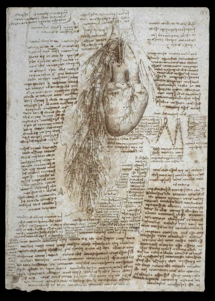 The extraordinary life of Leonardo da Vinci
