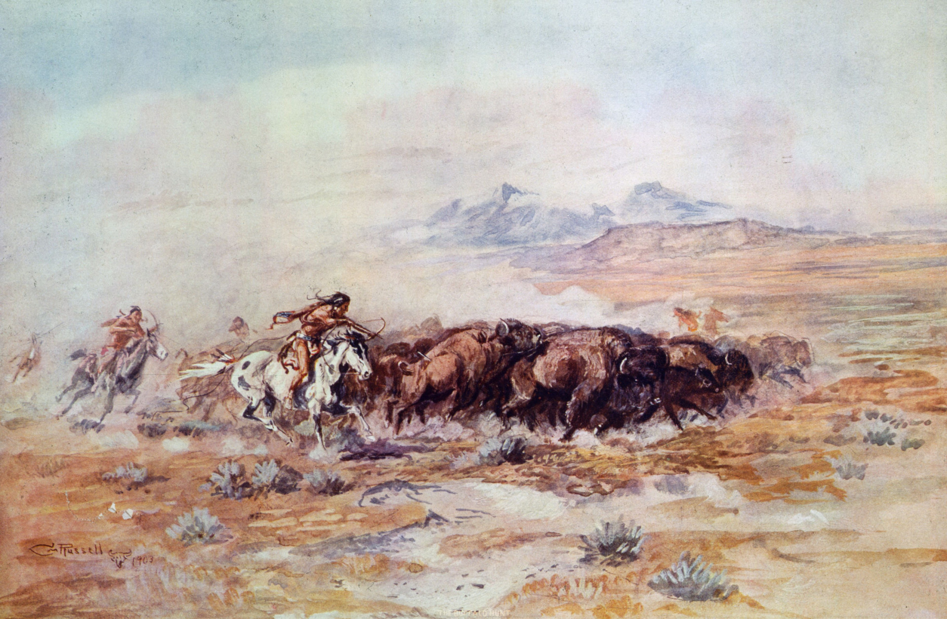 Brilliant facts about the American bison