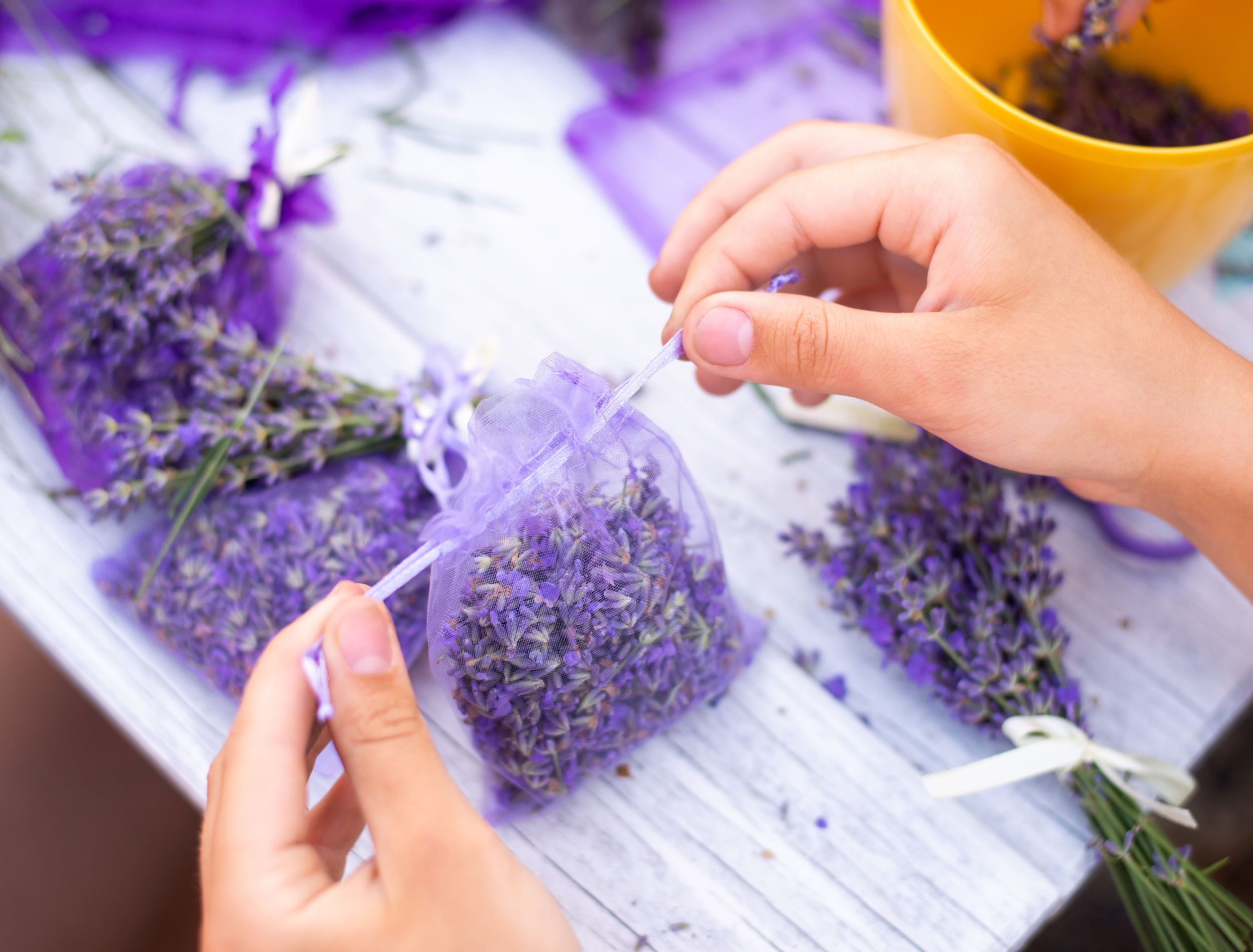 Herbal DIY Delights: Crafting 4 Projects That Go Beyond the Kitchen