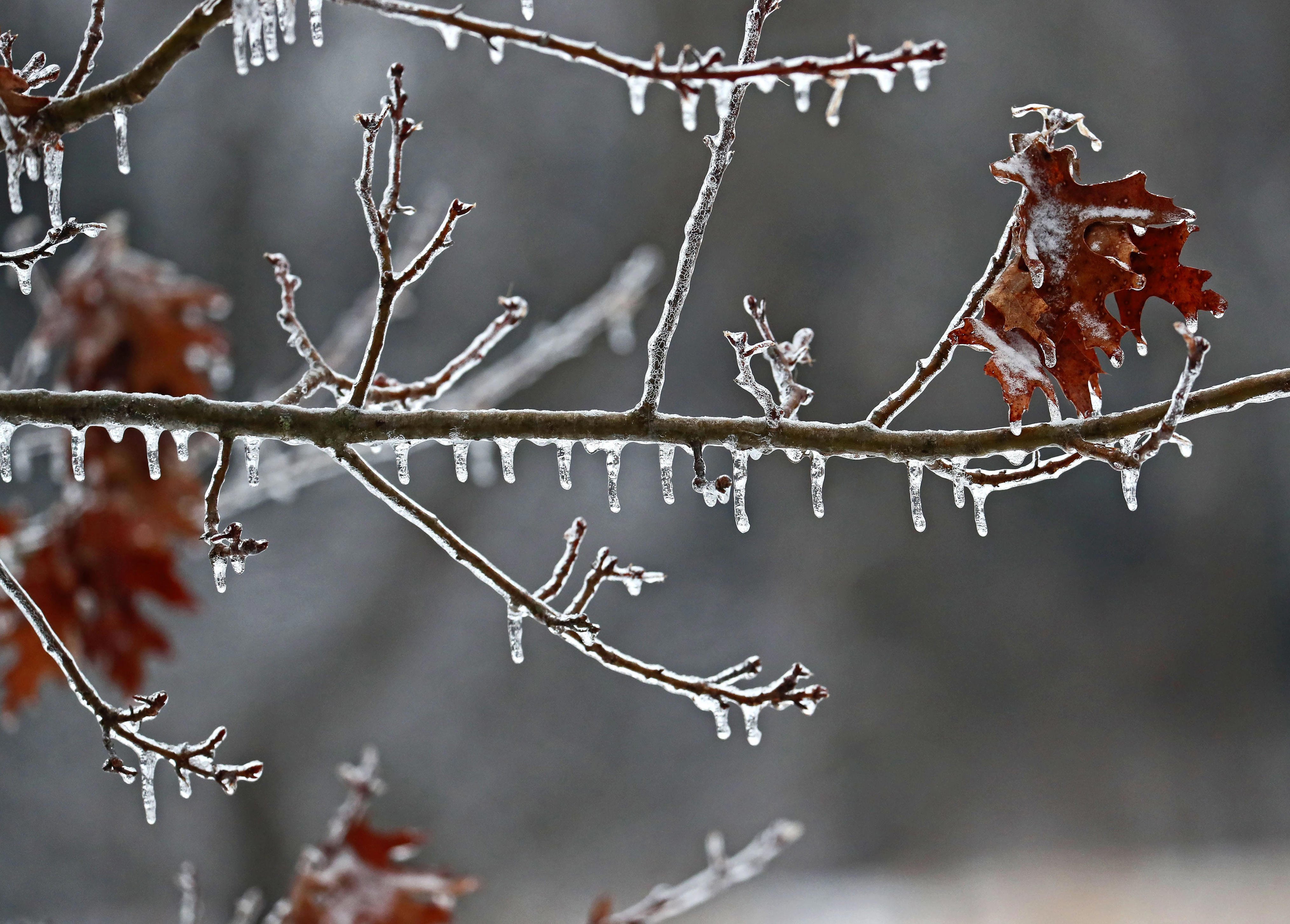 A wintry mix is coming to Wisconsin that could create slippery, slushy ...