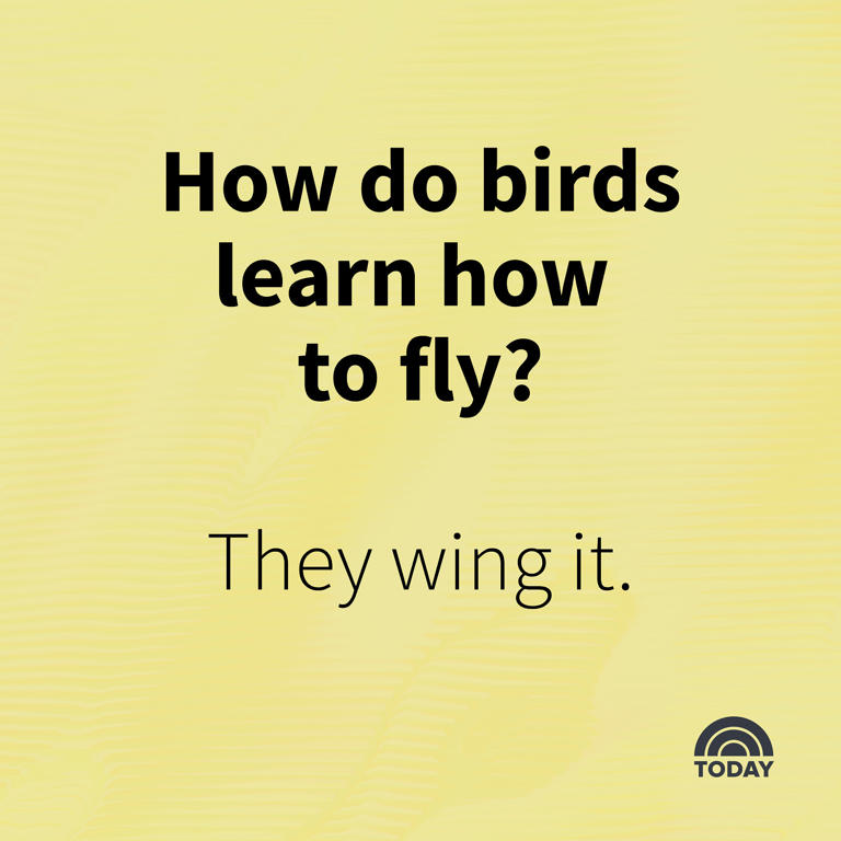 175 bad jokes that are so dumb, you just have to laugh