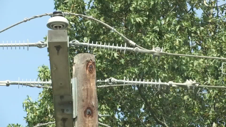 Workshop on James Island to preview Dominion Energy’s tree trimming project