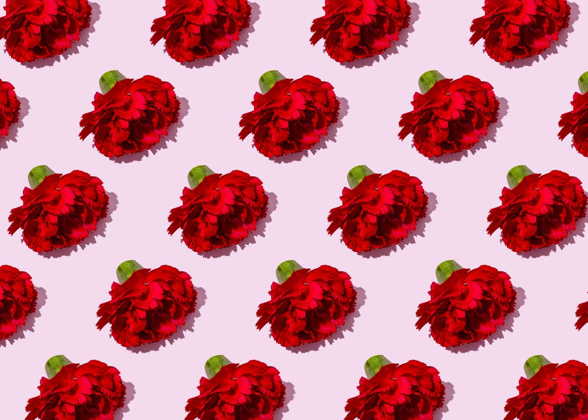 We Discovered All the Secret Meanings Behind Your Birth Flower