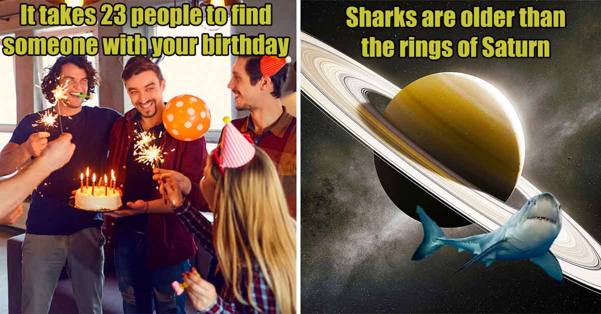 24 Bizarre Facts about Life and Our Weird World