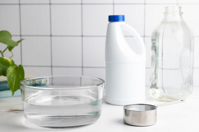 How to Make Gnat Traps: 5 Best Methods