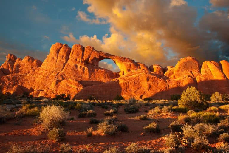 Visiting Desert National Parks in Utah, Arizona, and California
