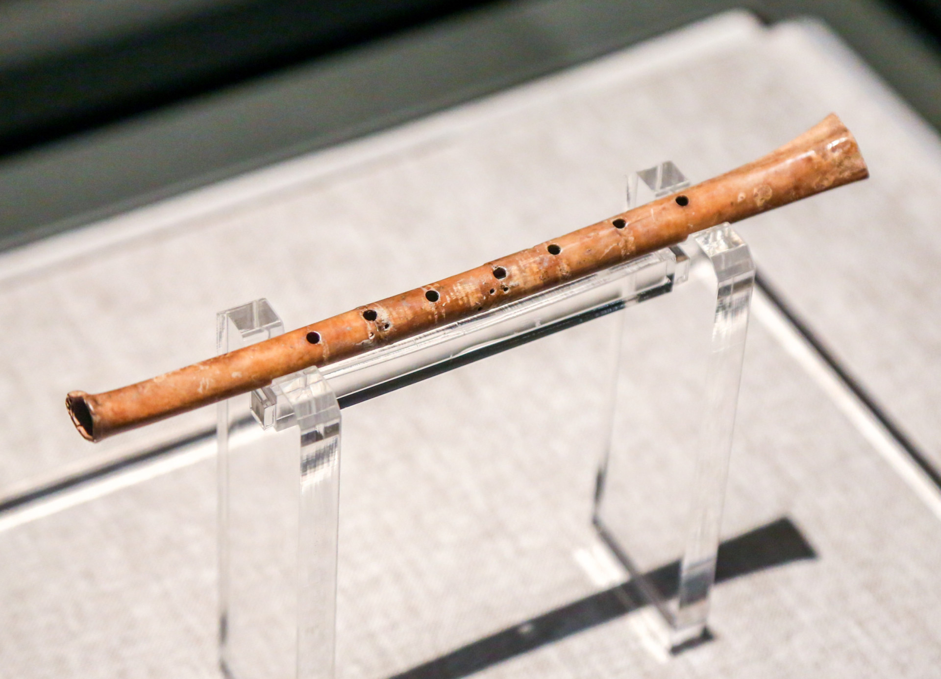 The earliest musical instruments of note