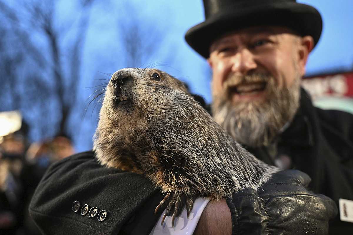 History, cracking the code: Everything you need to know about Groundhog Day