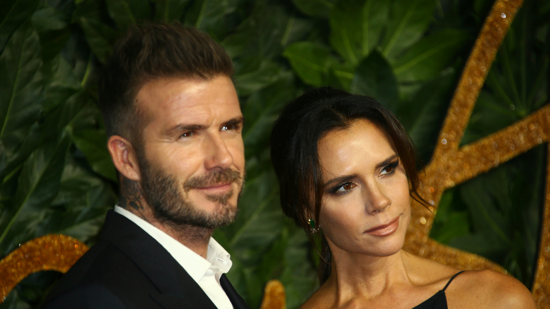 Learn how to fall and minimize the damage