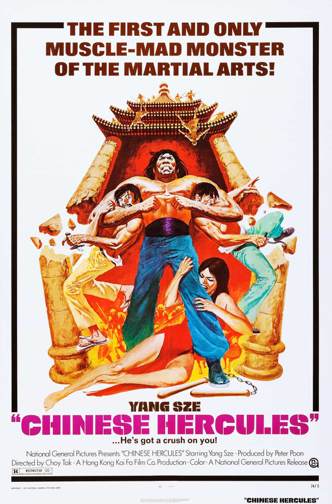 Bodybuilders who became successful actors