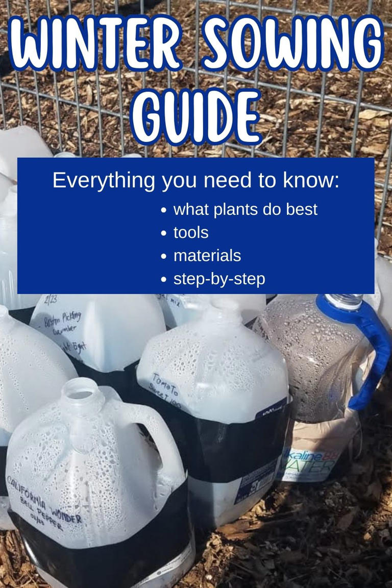 A Simple Guide to Winter Sowing To Help You Jump-Start Your Seed Planting