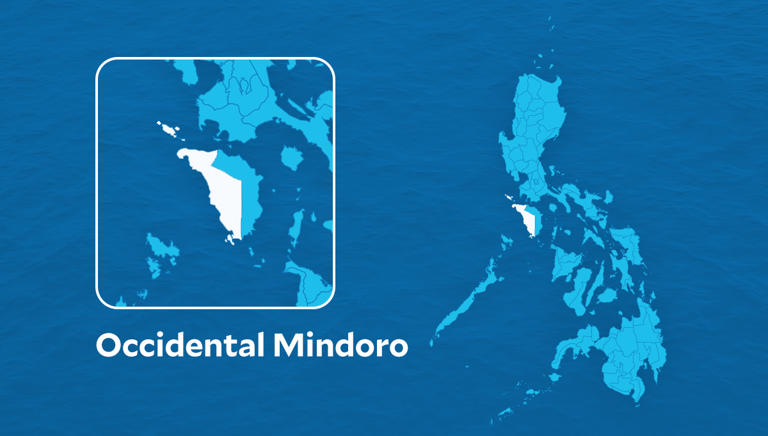 AFP stands by Occidental Mindoro New Year clash with NPAs