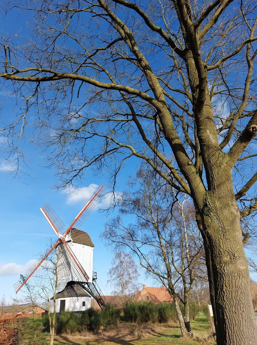 Weerman Samuel ziet het weer veranderen na volgende week