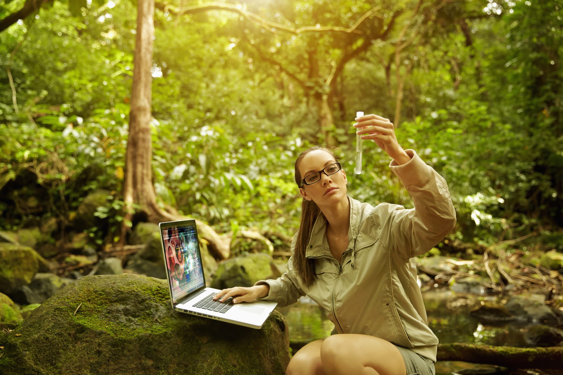 Scientists studied millions of trees in tropical forests and the ...