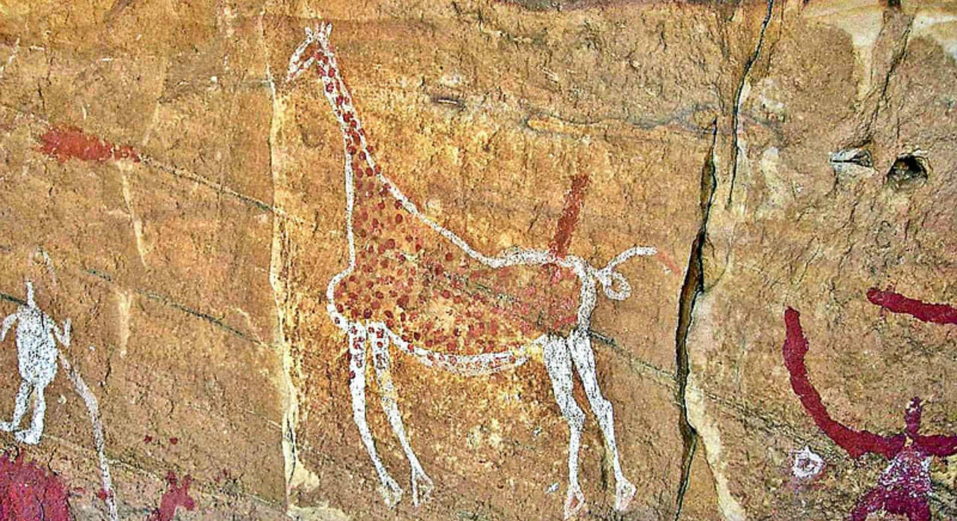 L'art et les peintures pariétales à voir absolument