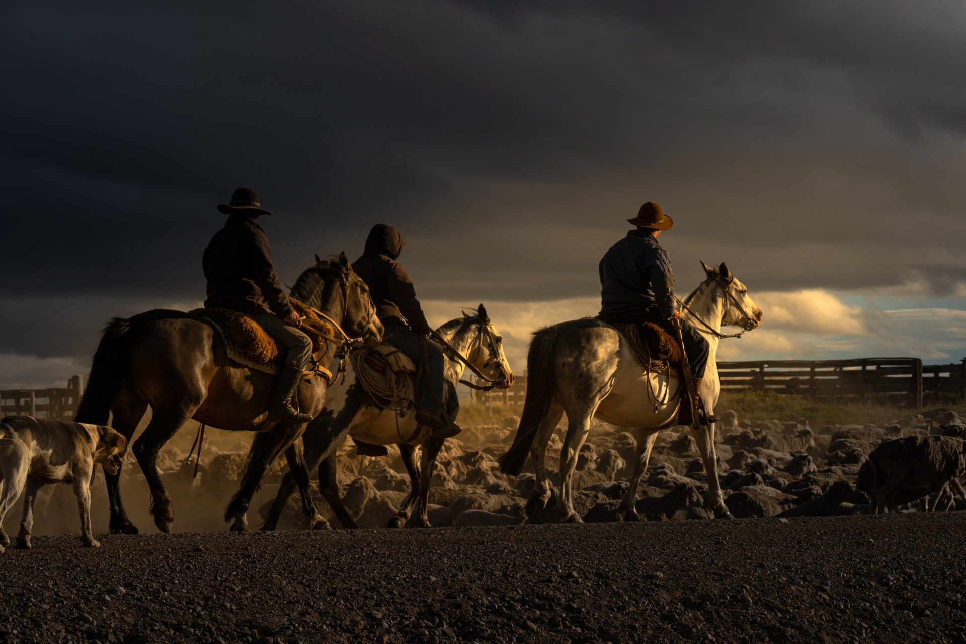 Nejohroženější jazyka světa