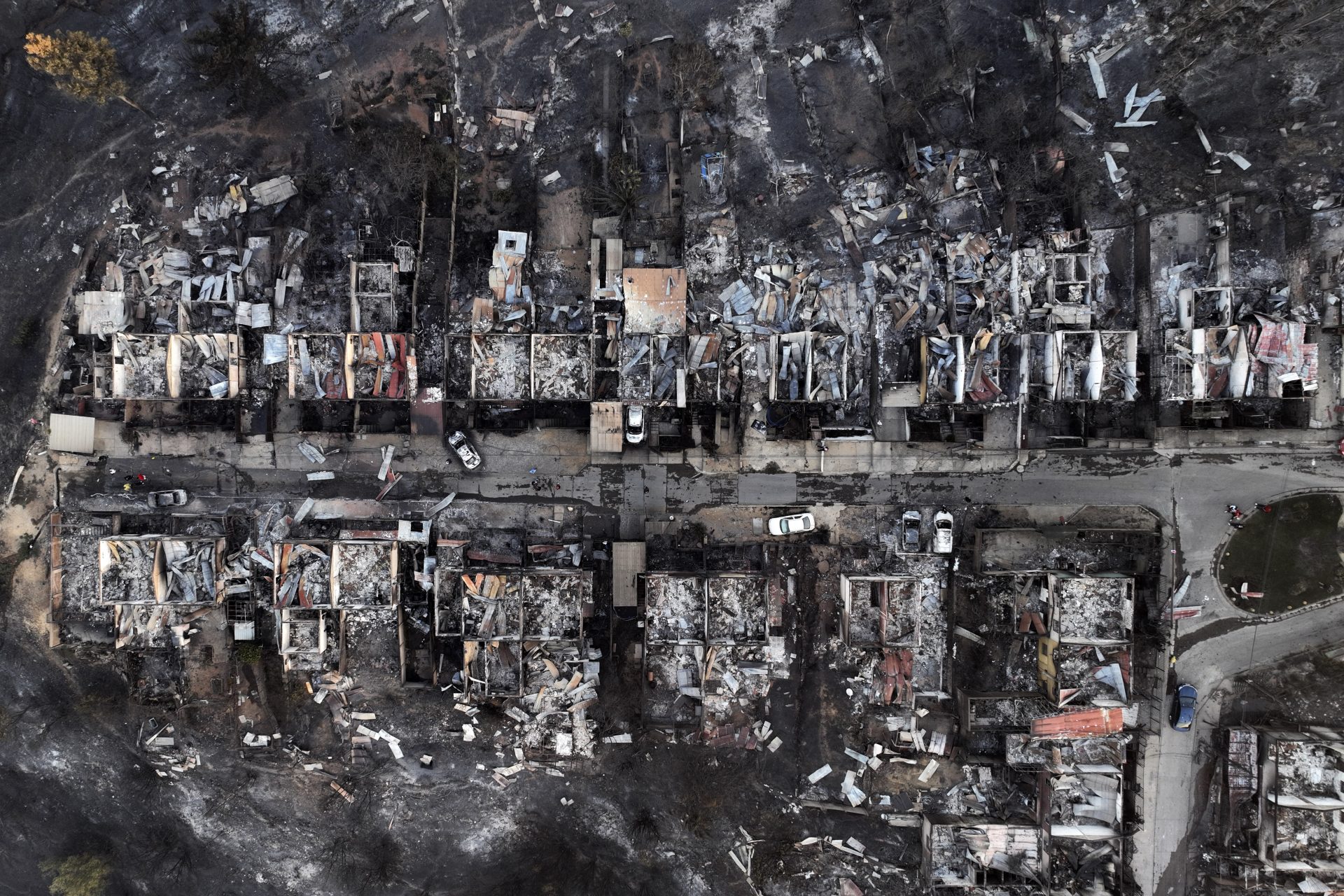 People fascinated with a single color